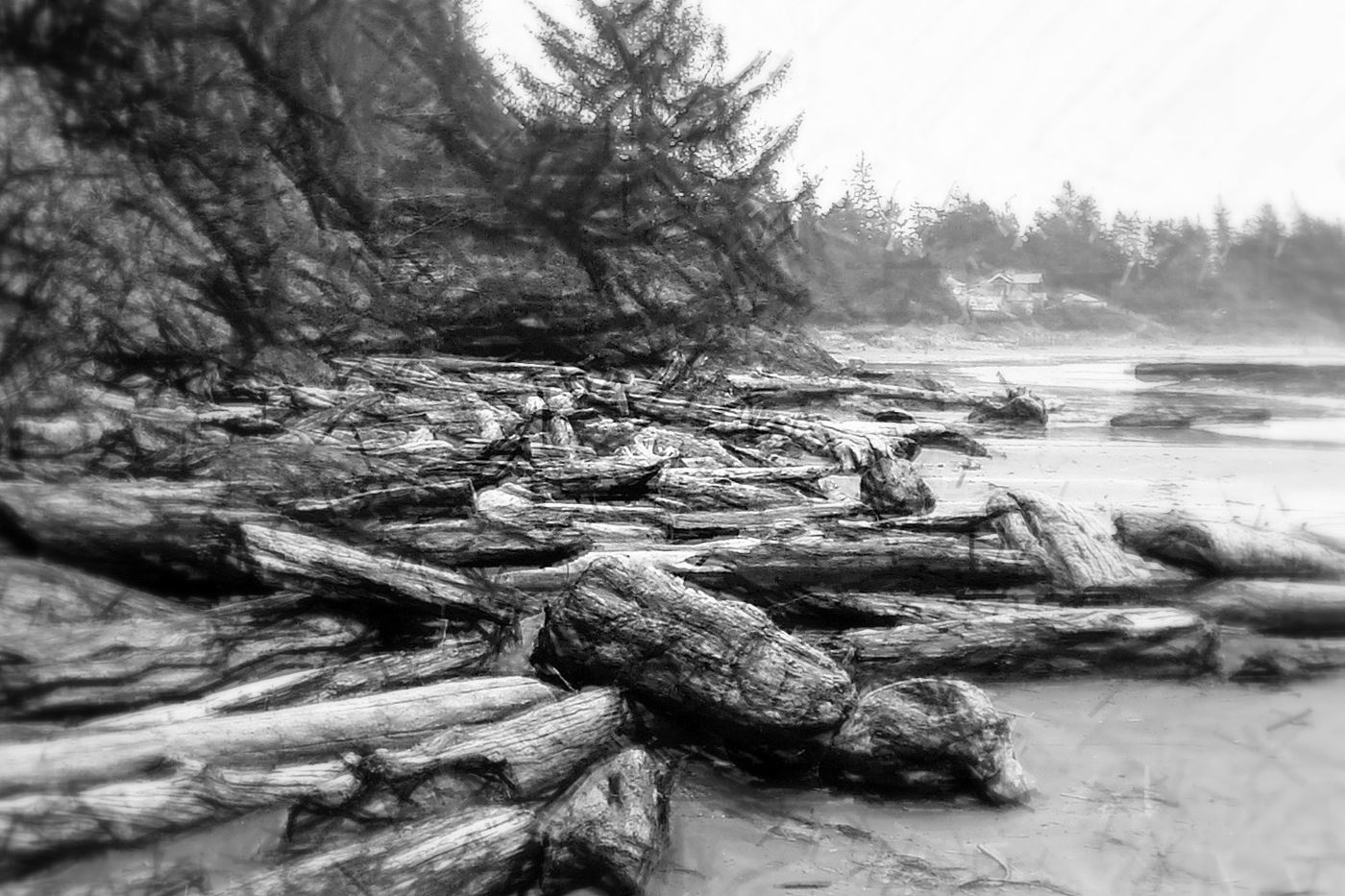 Finding Shamoo - Patrick Beacham