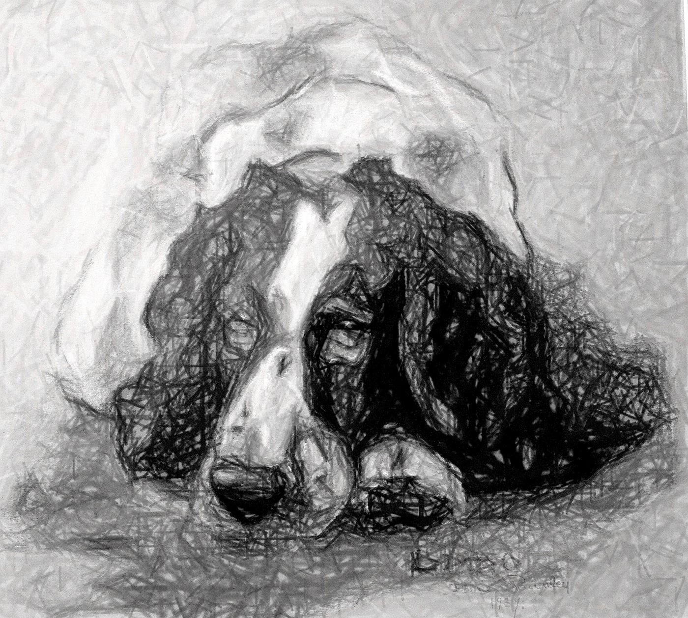 Finding Shamoo - Patrick Beacham