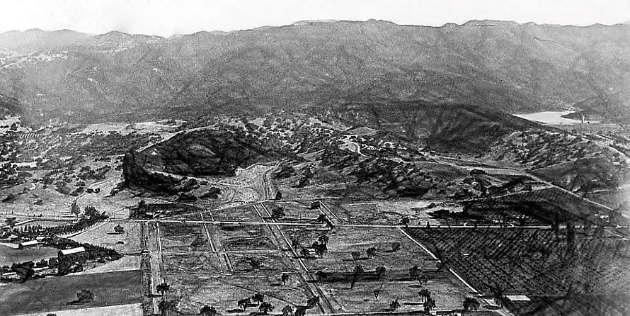 Finding Shamoo - Patrick Beacham