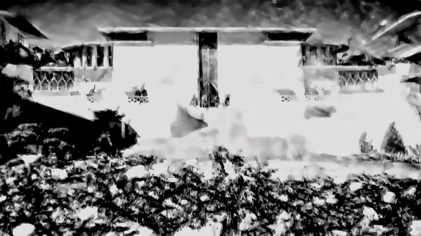 Finding Shamoo - Patrick Beacham