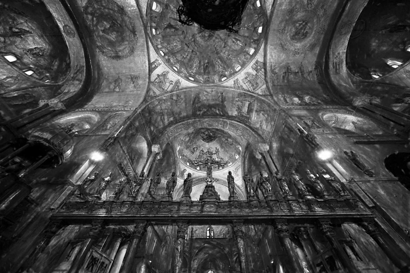 Finding Shamoo - Patrick Beacham